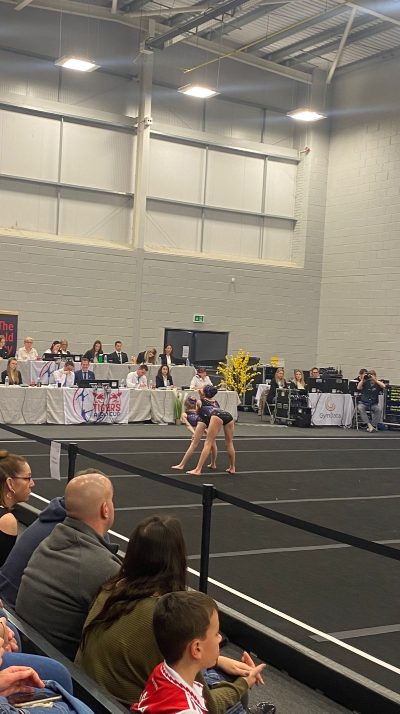 NOX GYM | Online Gymnastics & Dance Classes for Children