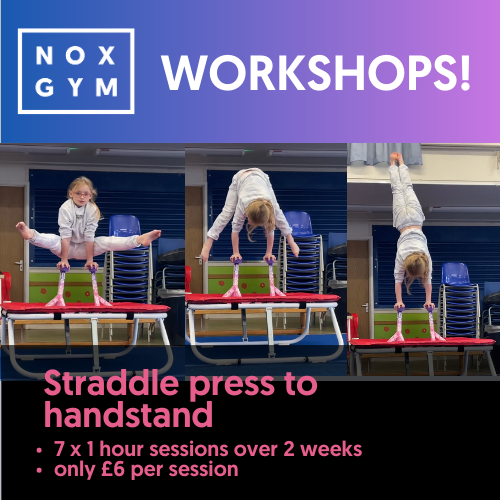 NOX GYM | Gymnastics Courses | 2023